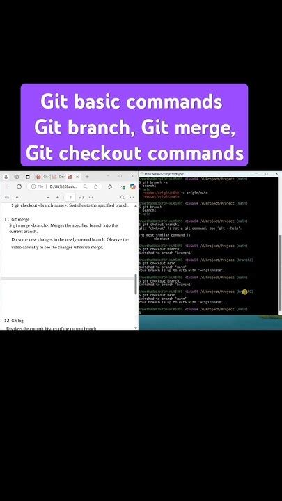 Git Basic Commands Git Branch Git Merge Git Checkout Coding Git Github Youtube