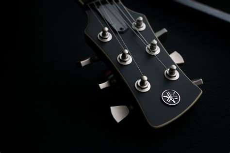 15 Best Bass Guitar Brands To Know In 2025 🎸 Guitar Brands