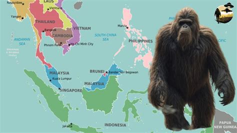 From Fish Man To Orang Pendek A Tour Of Southeast Asias Most Elusive