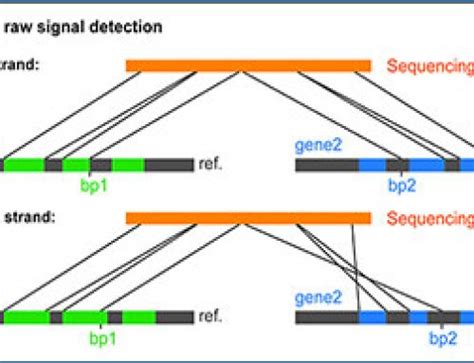 Gene Expression Single Nucleotide Variant And Fusion Transcript Discovery In Archival Material