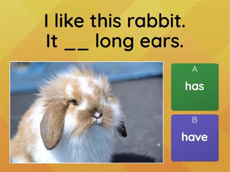 Class 1b It Has They Have Quiz