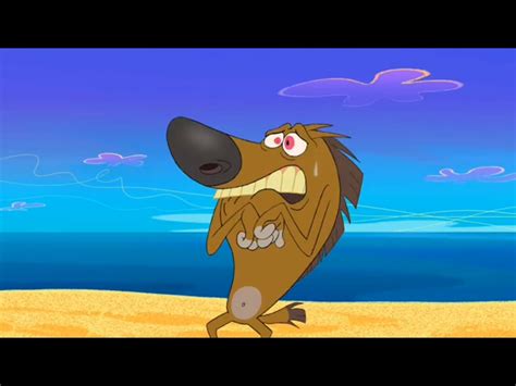 Ziggallery Zig And Sharko Wiki Fandom