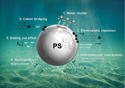 New Model For Predicting Pfas Adsorption By Microplastics Business News