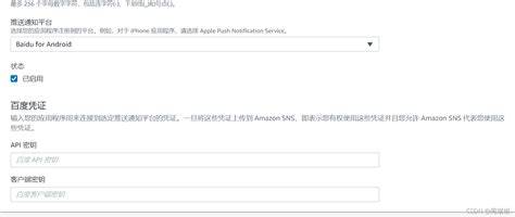 开发笔记 Android消息推送骚操作：亚马逊 Sns对接fcm和百度云推送android Aws Sns集成 Csdn博客