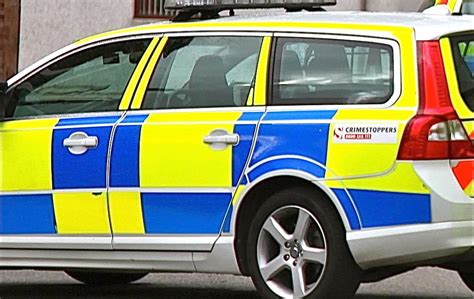 Oil Thefts Appeal Dng Online Limited
