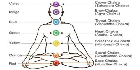 7 Chakras In Human Body And Their Significance Werohmedia
