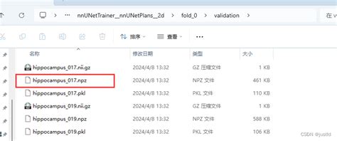 nnUNetv2实践二nnUNetv2快速入门 训练验证推理集成一条龙教程