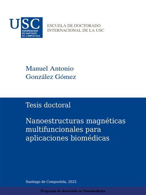 Nanoestructuras Magnéticas Pdf Nanopartículas Ciencias Fisicas