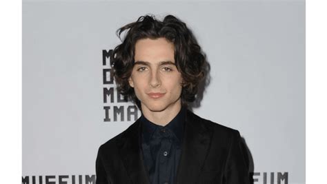 Timothée Chalamet Auditioned For Spider Man Homecoming 8days