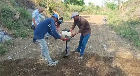 Pramel Kumar Gupta On Linkedin Summer Miyawaki Chhindwaracompact Mp Miyawaki Forest Khandwa…