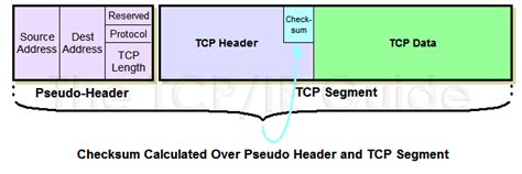 socket tcp技术详解 tcp什么情况发fin包 csdn博客