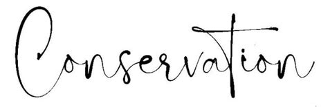 Anyone know this handwritten/script font? : r/identifythisfont