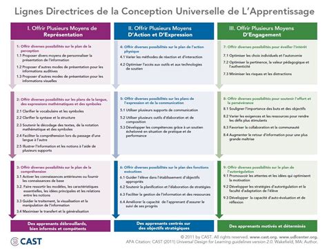 La Pédagogie Universelle Ligue Des Droits De Lenfant