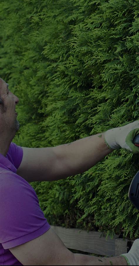 Cordless String Trimmer Zhejiang GuYueHu Industry Trade Co Ltd