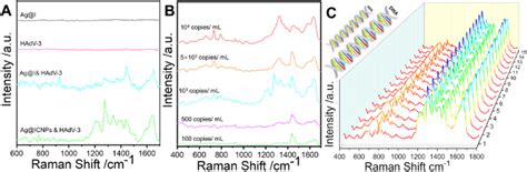 A Sers Spectra Of Hadv 3 Genome In Different Enhanced Systems Sers Download Scientific