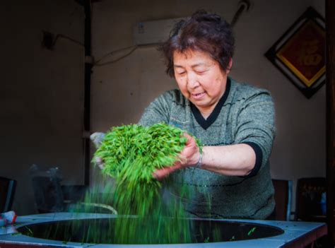 苏州洞庭山碧螺春茶3月16日后批量上市 我苏网
