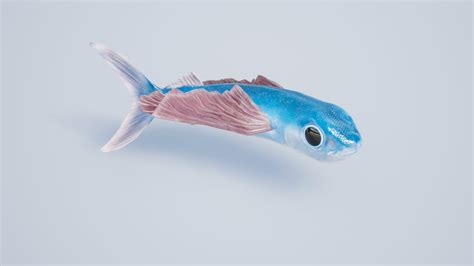 Flying fish in Characters - UE Marketplace