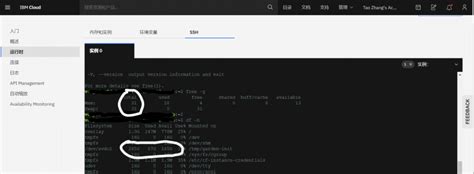 tailscale高级用法，route与exit node实现局域网穿透与代理出口功能 dongvps