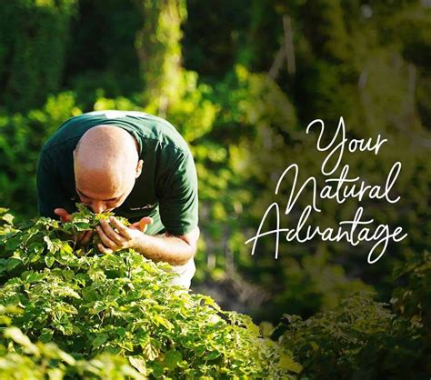 T From Nature Van Aroma