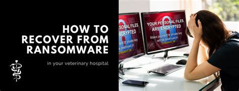 Guide To Recovering From A Ransomware Attack For Veterinary Practices