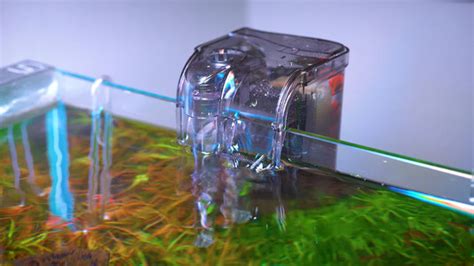 Sometimes You May Not Need An Air Pump Blazar Aquarium