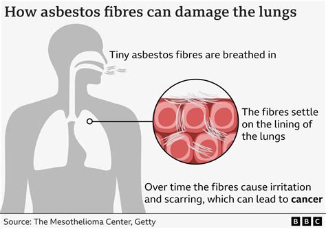 Very Very Toxic The Risk Of Asbestos In Gazas Rubble Bbc News