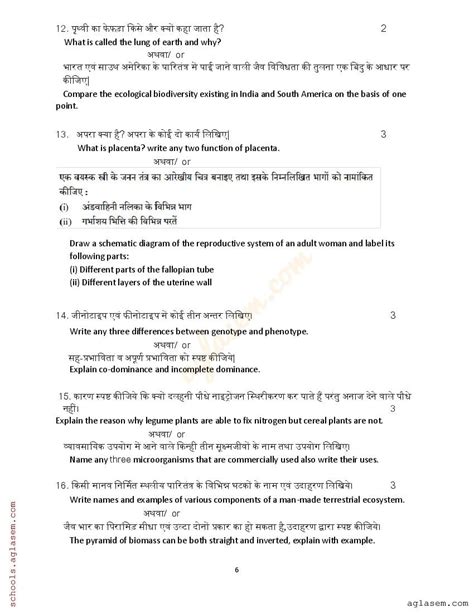 Mp Board 12th Biology Model Paper 2024 Pdf