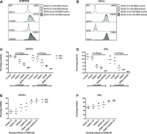 Pre Treatment Of Skov 3 Cells With Gemcitabine Does Not Improve Hpc Nk