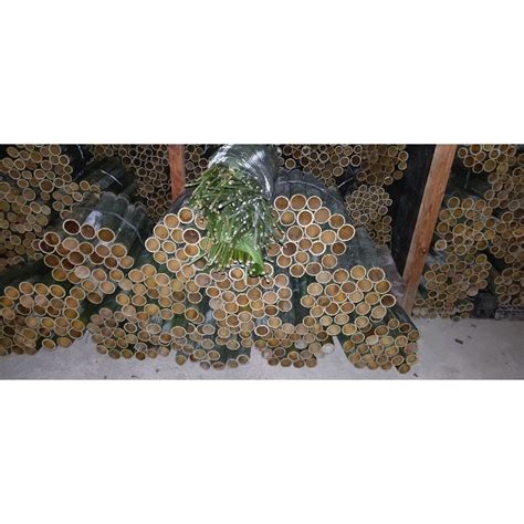 Daun Lerek Untuk Lemang Shopee Malaysia