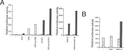 Figure 10 From A Novel Pathway For Vitamin A Signaling Mediated By Rxr