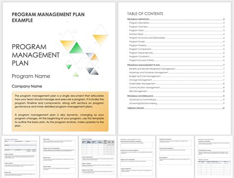 Program Management Plan Sample Template Template Samples