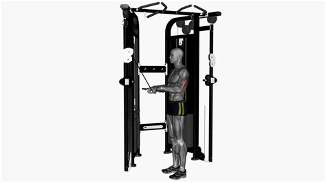 Master The Cable Triceps Push Down With Ez Bar A Beginners Ultimate
