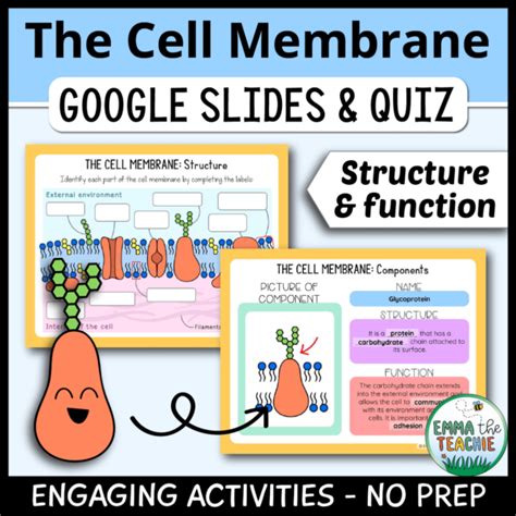 Cell Membrane Google Slides Emmatheteachie Resources