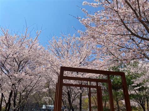 대구 북구 태전동 삼계탕 맛집 보건대인근 상황삼계탕백숙 네이버 블로그