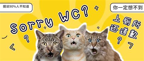 老外给你发“sorry Wc”是什么意思？90的人都不懂！ 知乎