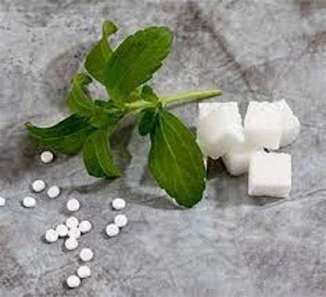 Stevia Extract At ₹ 900 Kg Plant Extracts In Ahmedabad Id 23485048388