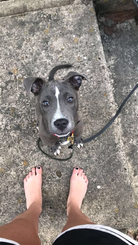 Reddit Meet My Girl Tuesday Reyebleach