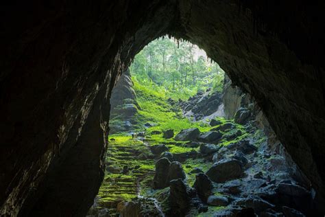 Life At Son Doong Cave • Oxalis Adventure