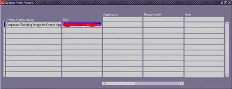 Customer Logo In R12 Login Pageoracle Ebs Doyensys Blog