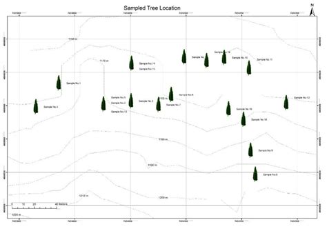 Spatial GPS Map Of Sampled Tree Individuals Download Scientific Diagram