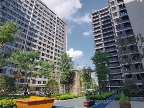 从“住有所居”迈向“住有宜居” 上海浦东住房保障项目一线观察