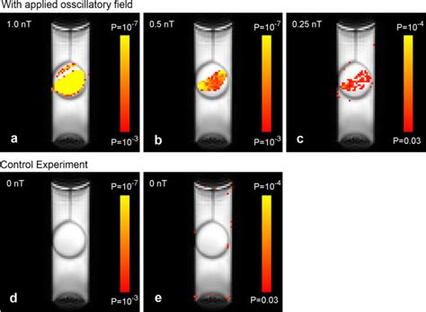 Mri Detection Sensitivity P Static Maps Uncorrected Shown In Color