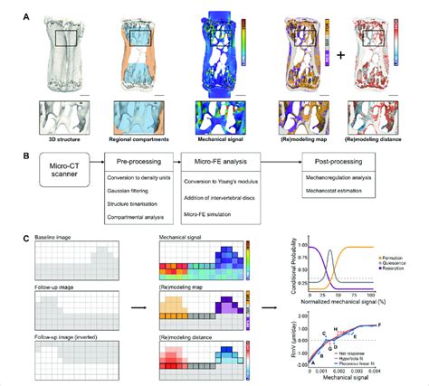 Overview Of The Computational Pipeline For High Throughput Analysis Of