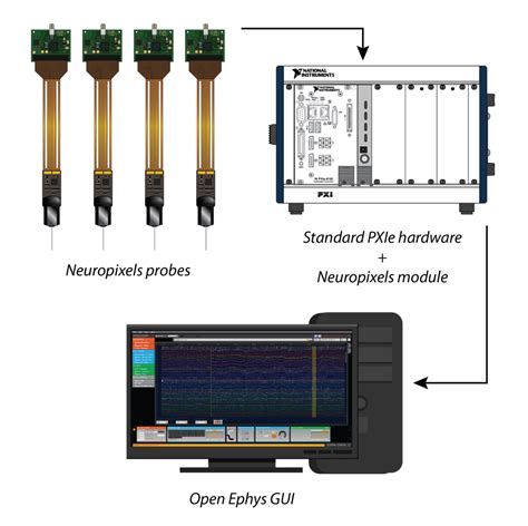 Neuropixels — Open Ephys
