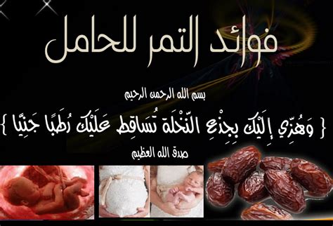 فوائد التمر للحامل والجنين موسوعة