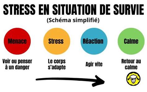 Le stress en situation de survie Comprendre et gérer ses réactions émotionnelles et physiques
