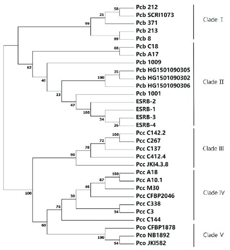Phylogenetic Tree Constructed Based On Sequence Analysis Of 8