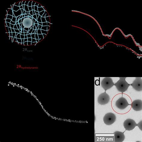Figure S1 Comparison Of Different Form Factor Models A Saxs Profile