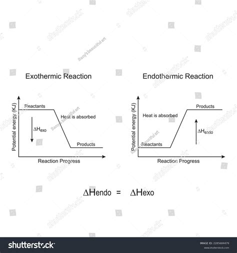 Following Reaction Pathway Diagram Shows That Stock Vector Royalty