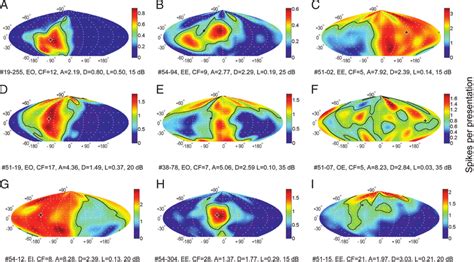 Diversity Of Srfs In Ferret Primary Auditory Cortex A1 Srfs For 9